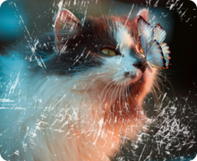 AI-Powered Online Photo Repair, Fix Corrupted Photos Quickly