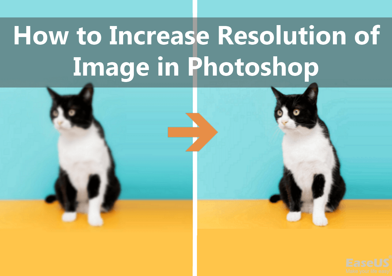 How to Increase Resolution of Image in Photoshop (2025) - EaseUS